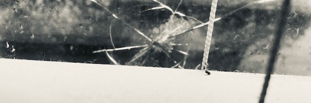 ArtStation - cari Thomas