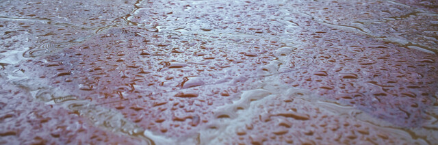 ArtStation - Basilio