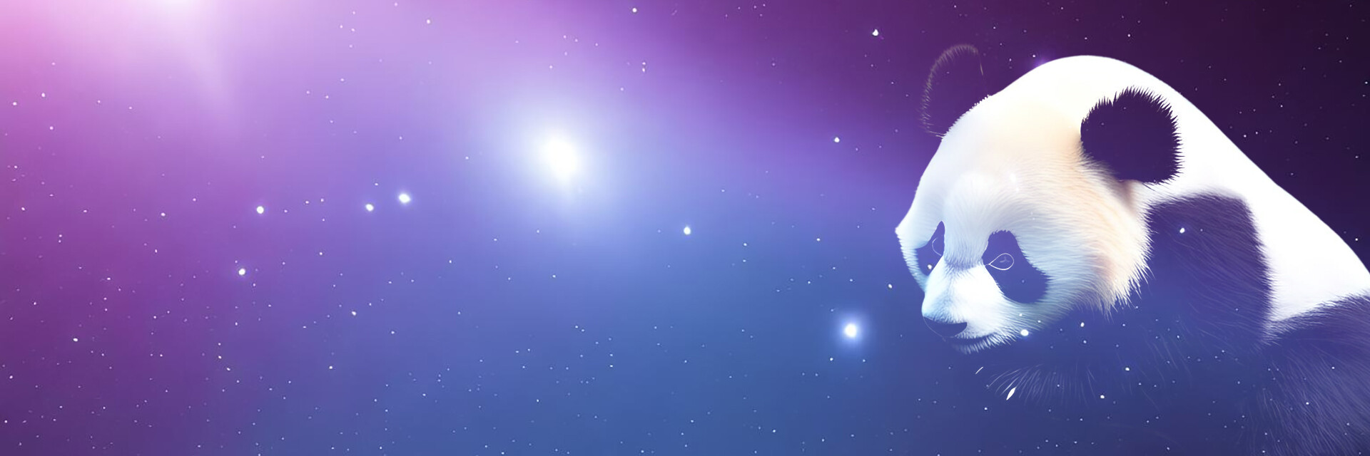 Panda Kim - Portfolio