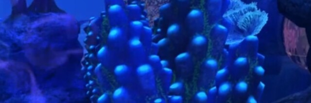 ArtStation - microdot.