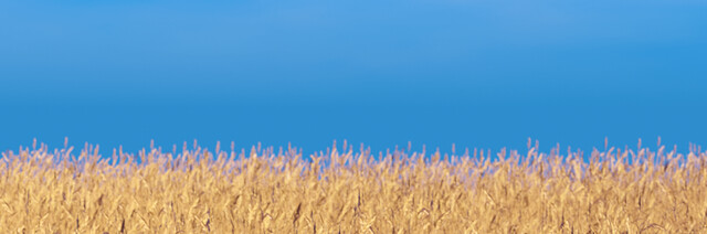 ArtStation - Alex Mai