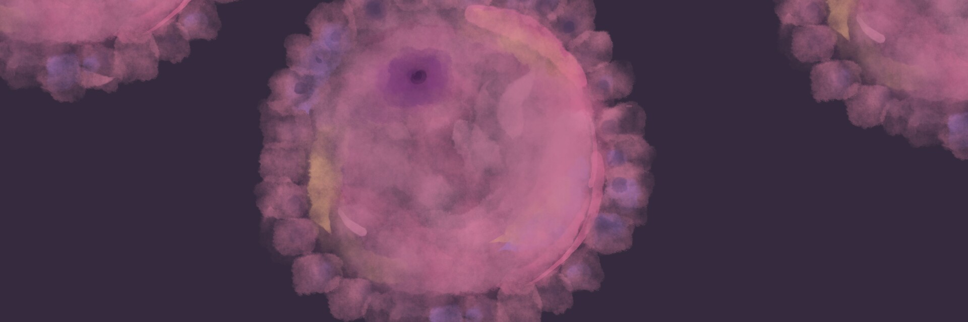 ArtStation - Tayyaba Hamid