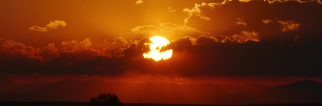 ArtStation - 337_ Shruti