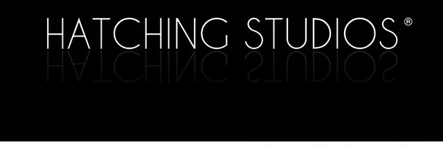 ArtStation - Hatching Studios