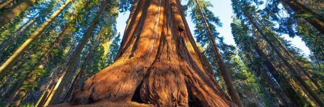 ArtStation - Hyperion