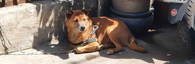 ArtStation - Im.DY (Diệp Lân)