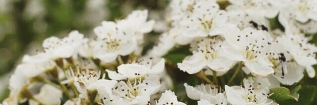 ArtStation - Hannah Batstone