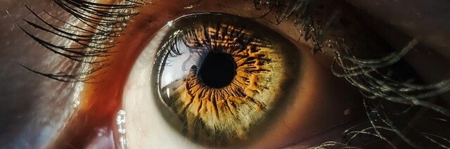 ArtStation - Warda Naveed