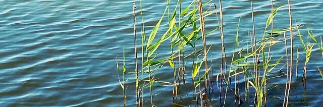 ArtStation - Tom Gaillard