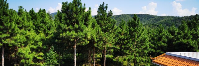 ArtStation - Roderick